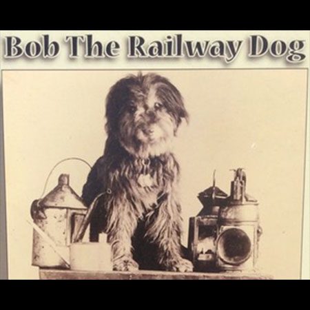 DD864 – John O’Dea – Bob The Railway Dog – CRS Publicity